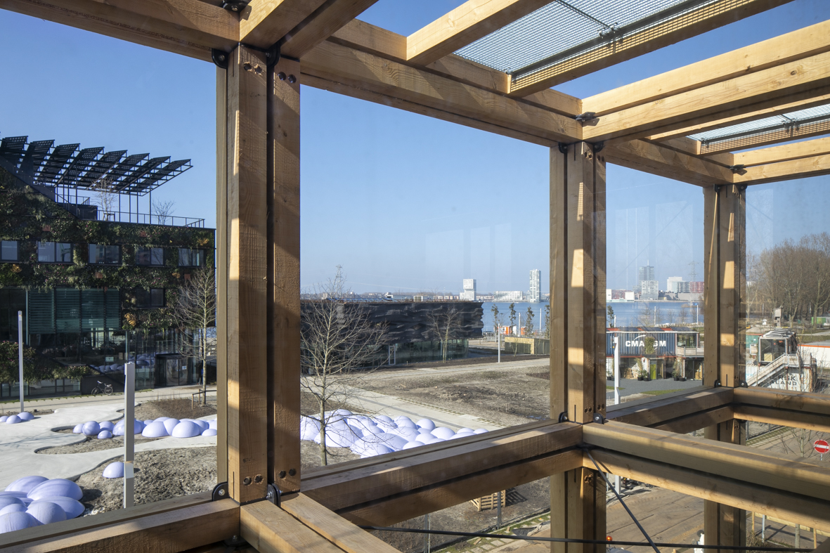 The Natural Pavilion - The Natural Pavilion